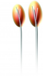 Venom cannula and electrode system | Interventional Spine